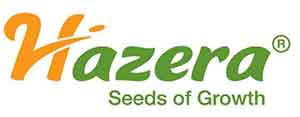 HAZERA producator de inputuri